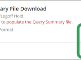 Query Summary File
