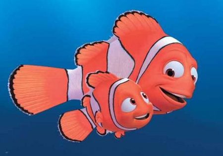 Cuộc phiêu lưu của chú cá Nemo | Spiderkien's stories