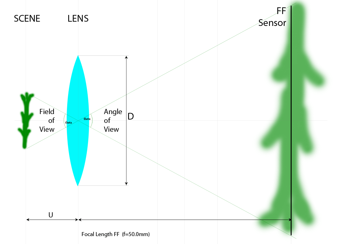 Field Of View Diagram