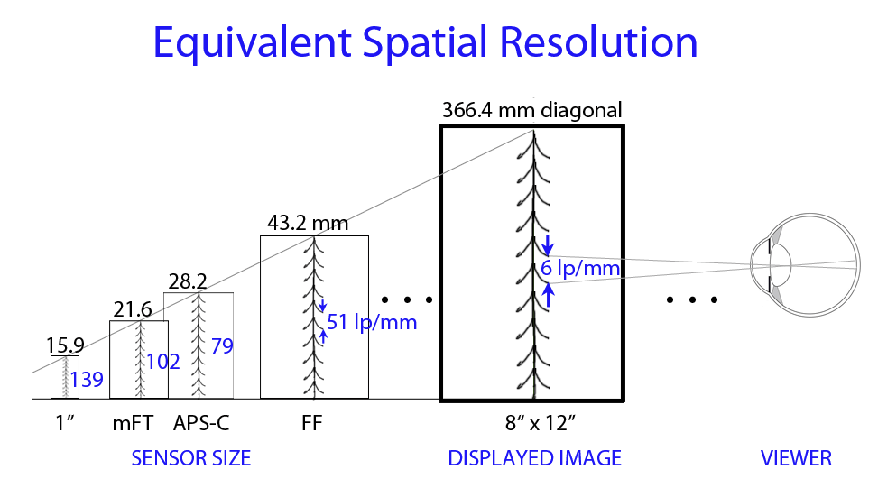 Equivalence in Pictures: Sharpness/Spatial Resolution | Strolls with my Dog