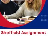 Sheffield Essay Assignment Help By Expert Uk Writers