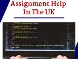Javascript Assignment Help Uk By Native Programming Helpers