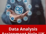 Data Analysis Assignment Help Uk By London S Proficient Experts