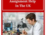 Electrical Engineering Assignment Help Uk By Native Writers