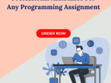 Expert Programming Assignment Help For Uk Students