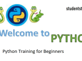 Top Python Tutorial Websites Beginners Students Tips