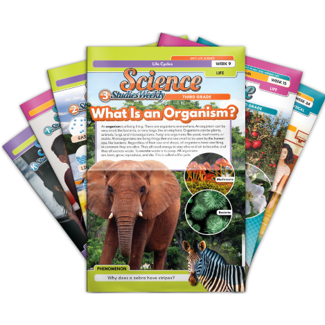 Studies Weekly: Elementary Core Curriculum Periodicals