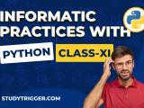 Informatic Practices With Python Class 11th Study Trigger