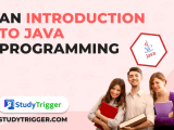 An Introduction To Java Programming Study Trigger