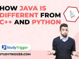 How Java Is Different From C And Python Study Trigger