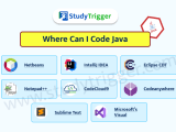 An Introduction To Java Programming Study Trigger