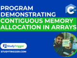 Check If An Array Contains A Specific Element Study Trigger