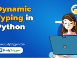 Dynamic Typing In Python Study Trigger