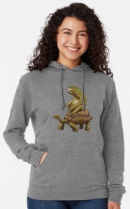 Sloth Riding A Turtle Hoodie