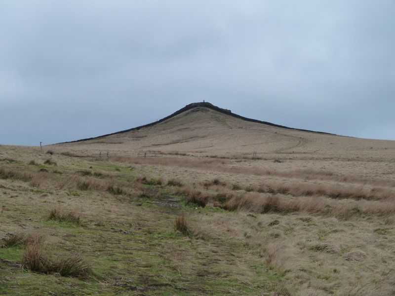 Up Sharp Haw on Boxing Day? | Rees Fitness Coaching - Movement & Variety