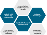 Python Development Services Python Development Company