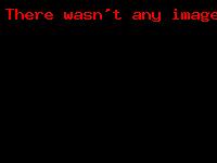 Design Gallery Category Pattern And Design Gallery Image Random