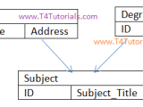 Network Model In Database With Examples And Characteristics