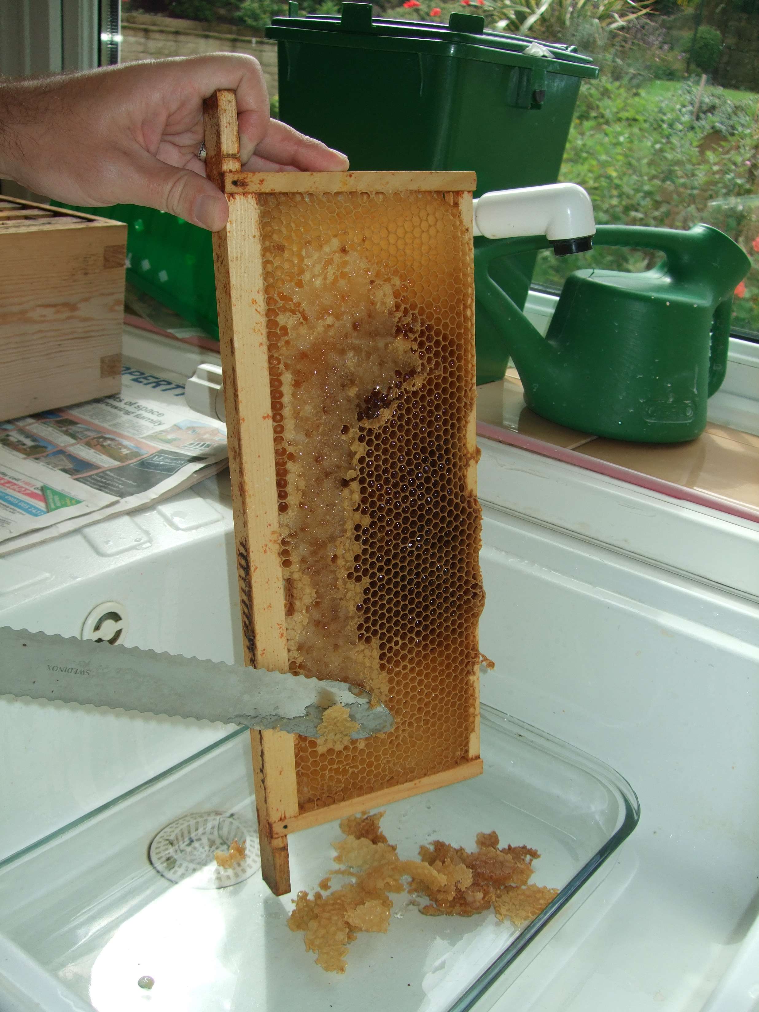 Extracting Honey - The joys & guilt of harvesting honey | Talking With Bees