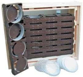 Honey Sections | Talking With Bees