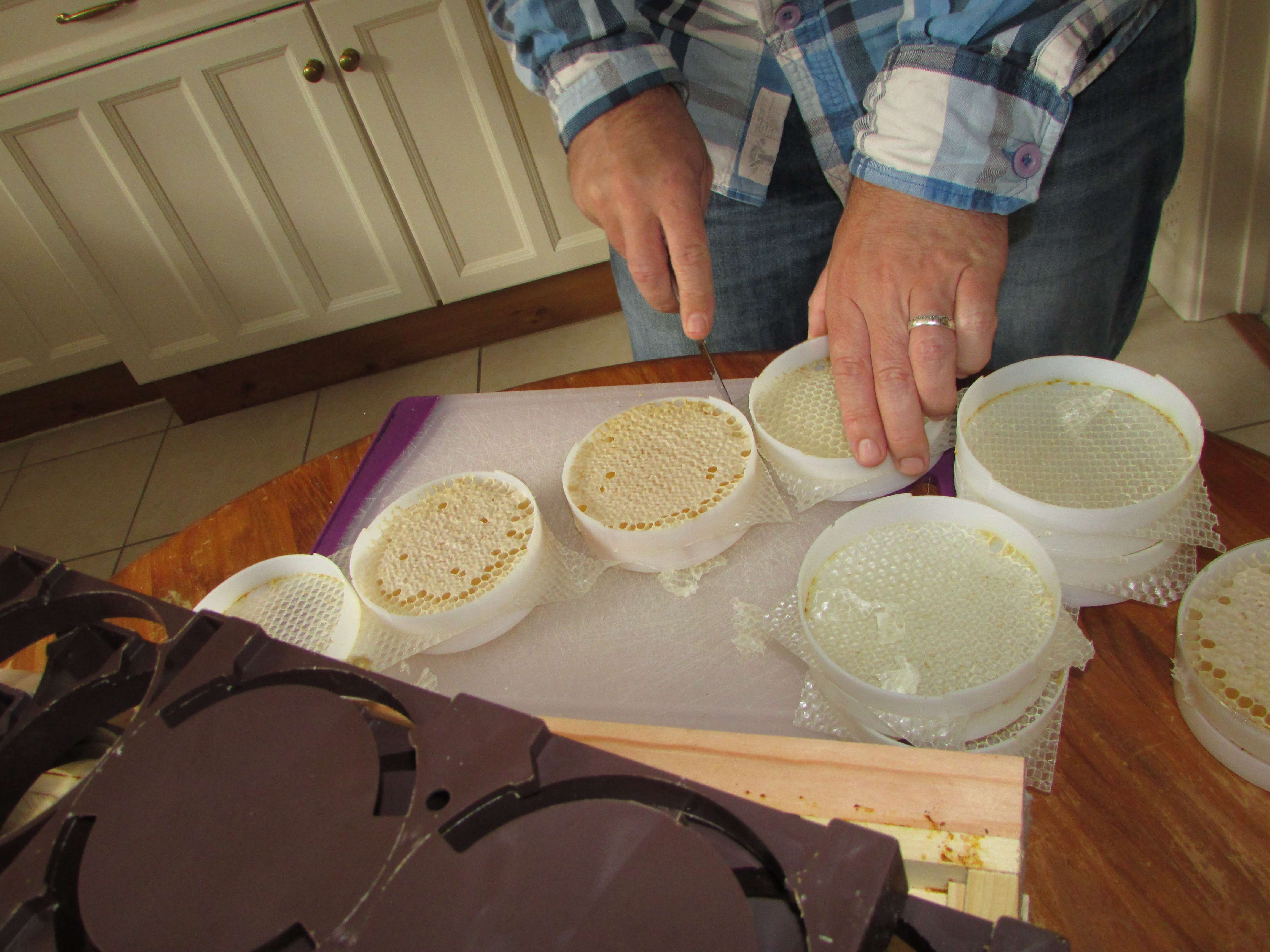 What I Learnt From Making Ross Rounds | Talking With Bees