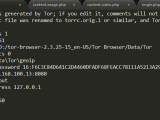 Configuring Tor Proxy Sopsecrets