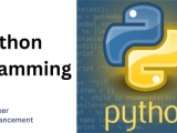 Python Programming Training Course Tech Cryptors