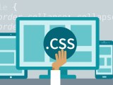 Adding Borders Using Css Tech Fry