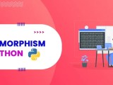 Polymorphism In Python With Examples