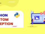 Python Custom Exception Used Defined Exceptions