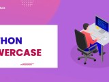 Python Lowercase Method With Examples