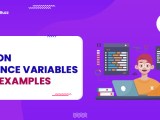 Python Instance Variables With Examples