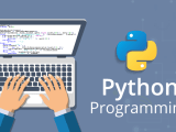7 Key Reasons Why You Should Learn Python Programming Techicy