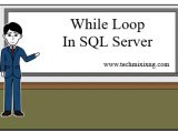 While Loop In Sql Server Technology With Vivek Johari