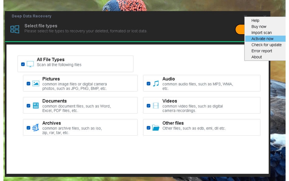 Deep Data Recovery Software by QILING - Free License[Windows]