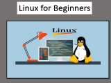 Learn Linux From Basic To Advance Step By Step Techprofree