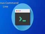 Complete Linux Commands Line Notes For Beginners Techprofree