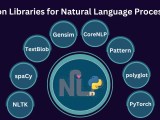 Top Python Libraries For Natural Language Processing Techprofree