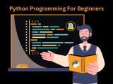 Master Python Programming A Beginner S Journey To Coding Success