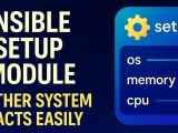 How To Use The Ansible Setup Module To Gather System Facts