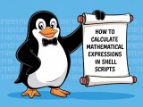 How To Use Break And Continue Statements In Shell Scripts