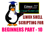 Understanding And Writing Linux Variables In Shell Scripting Part 10