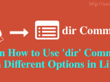Learn Linux Dir Command Examples With Options