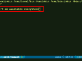 How To Set And Unset Local User And System Wide Environment Variables