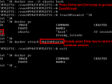 Install Docker And Learn Basic Container Manipulation In Centos And