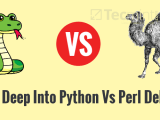 Python Vs Perl Scalesilope