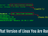 How To Check Linux Os Name Kernel Version And Information