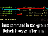 Run Linux Commands In Background And Detach From Terminal
