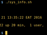 How To Trace Execution Of Commands In Shell Script With Shell Tracing
