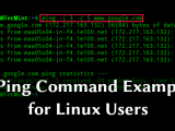 12 Practical Ping Command Examples For Linux Users